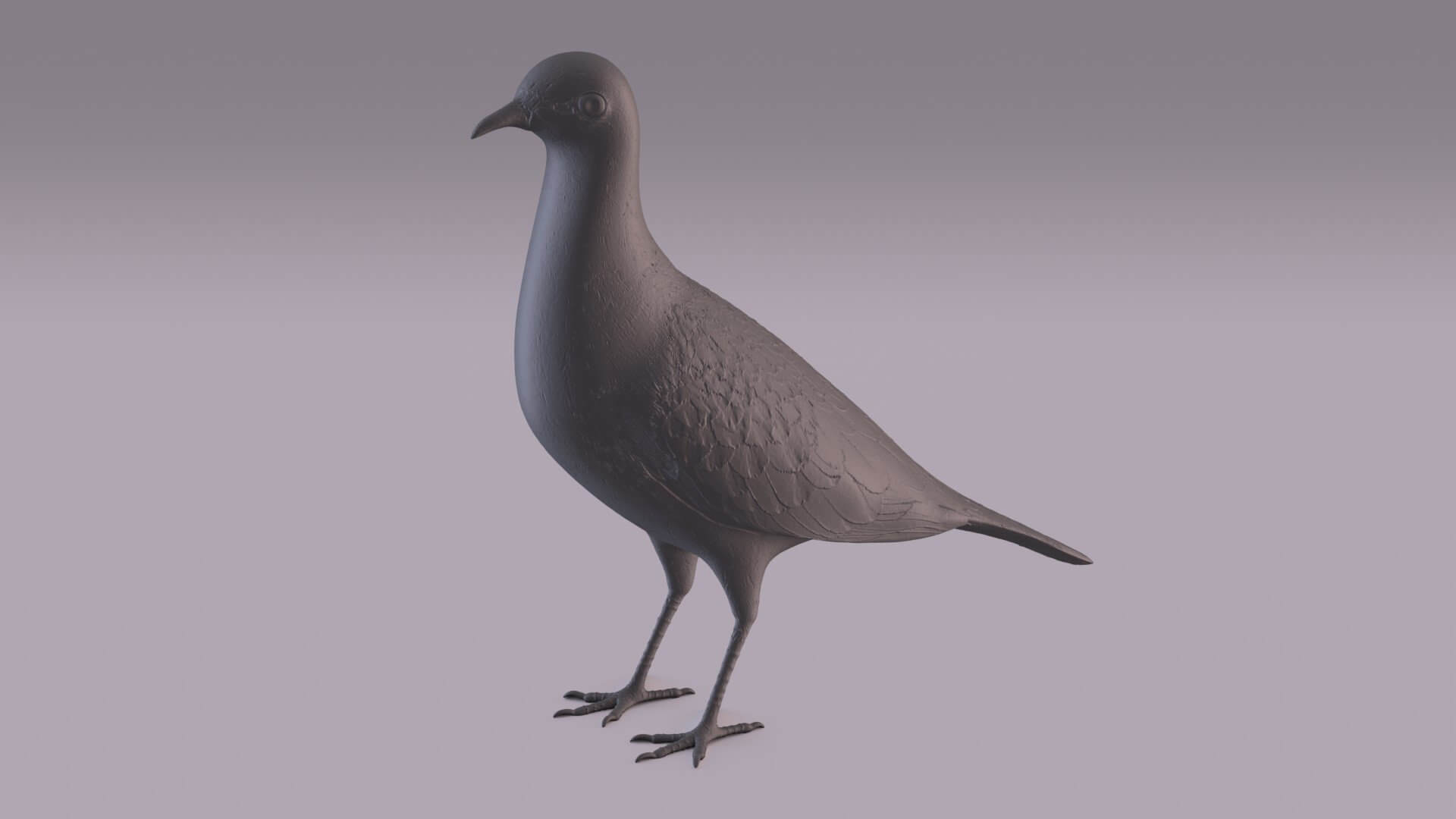 Pigeon - 3D Model by rmilushev