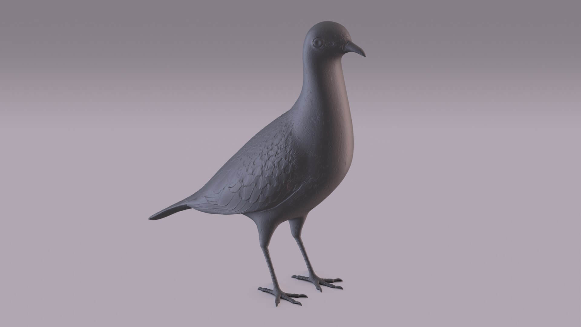 Pigeon - 3D Model by rmilushev