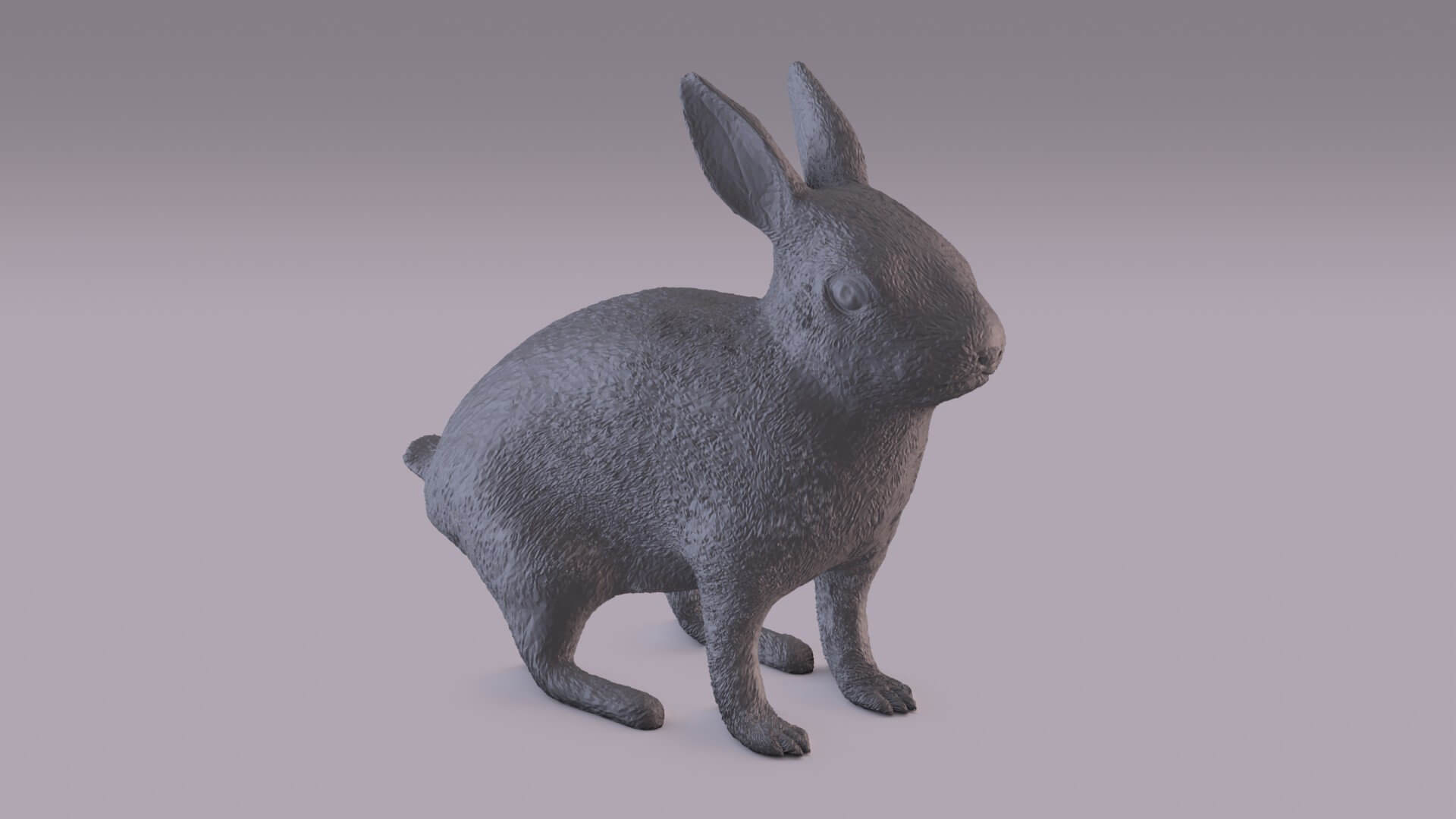 Rabbit - 3D Model by rmilushev