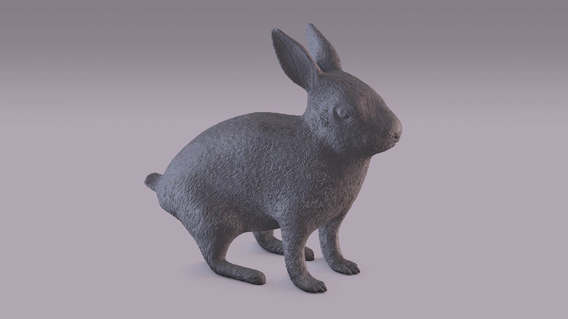 Rabbit - 3D Model by rmilushev