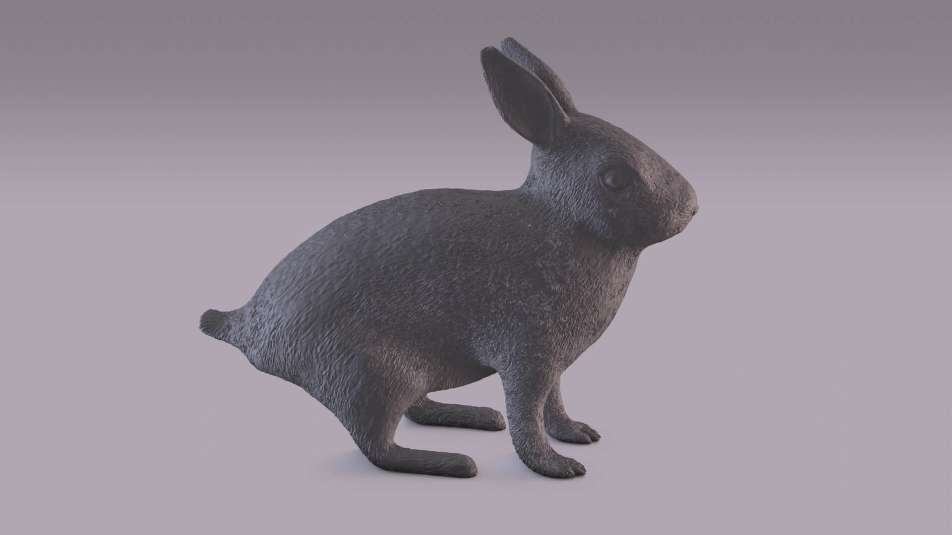 Rabbit - 3D Model by rmilushev