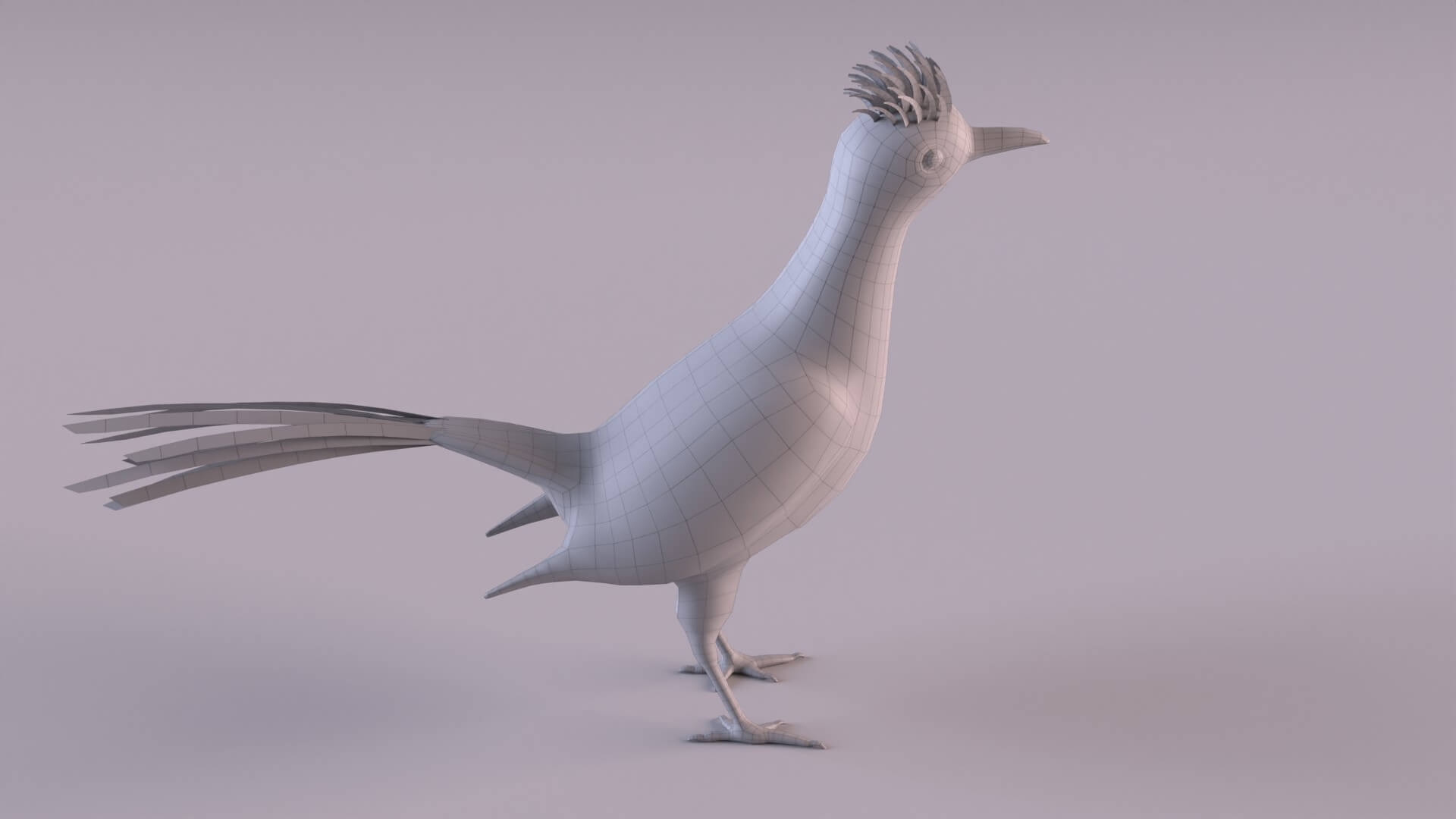 Roadrunner Bird - 3D Model by rmilushev