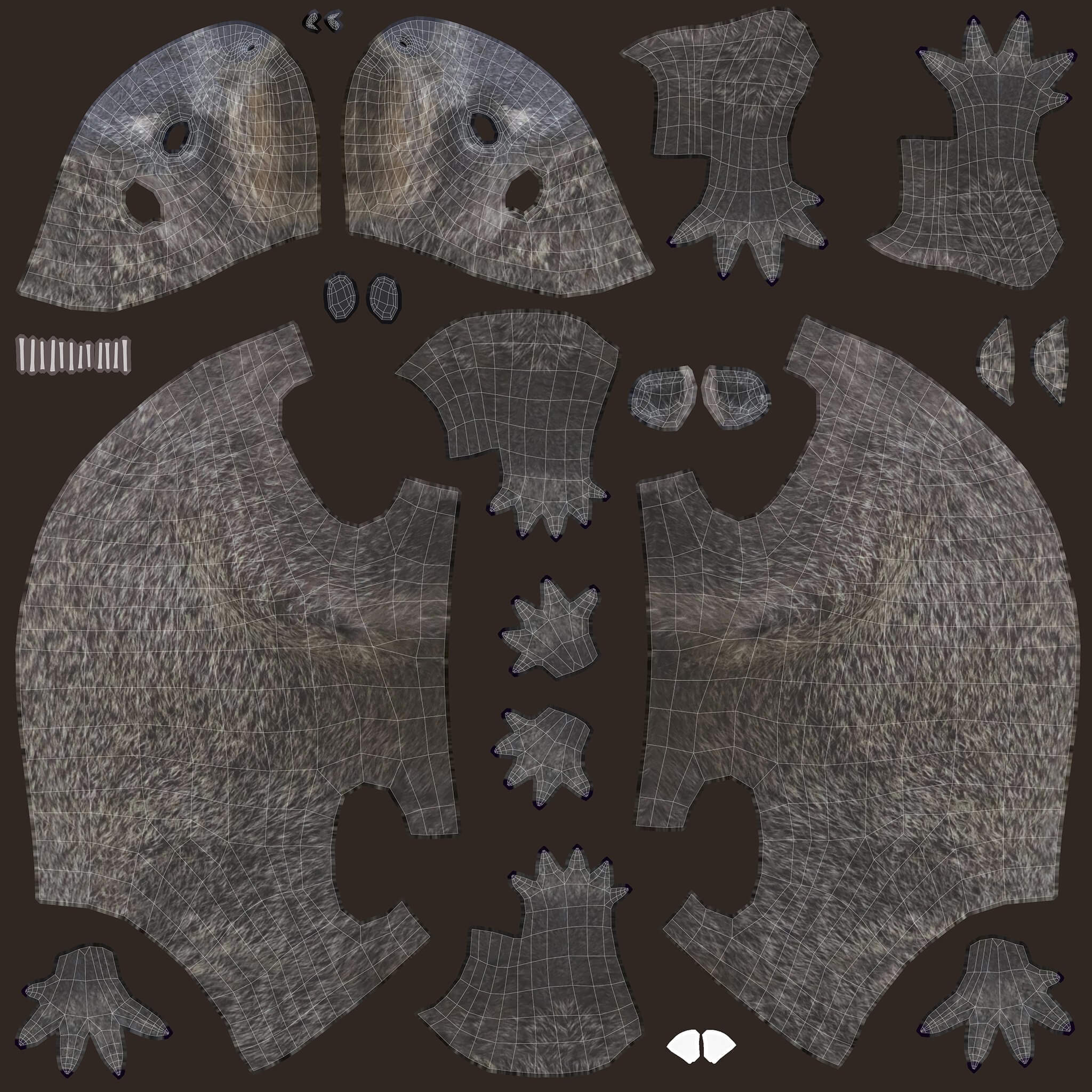 Rock Hyrax - 3D Model by rmilushev