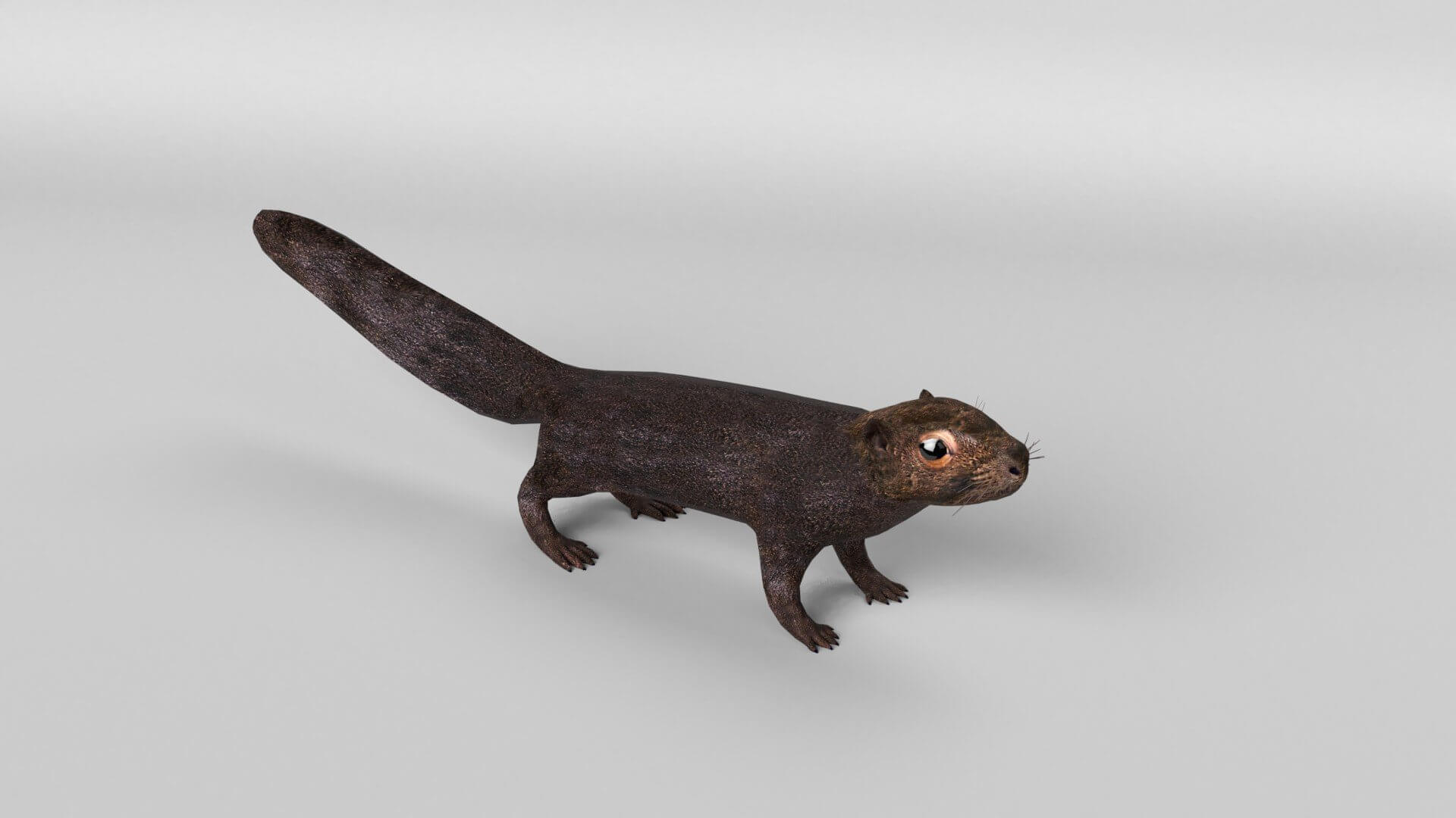 Squirrel - 3D Model by rmilushev