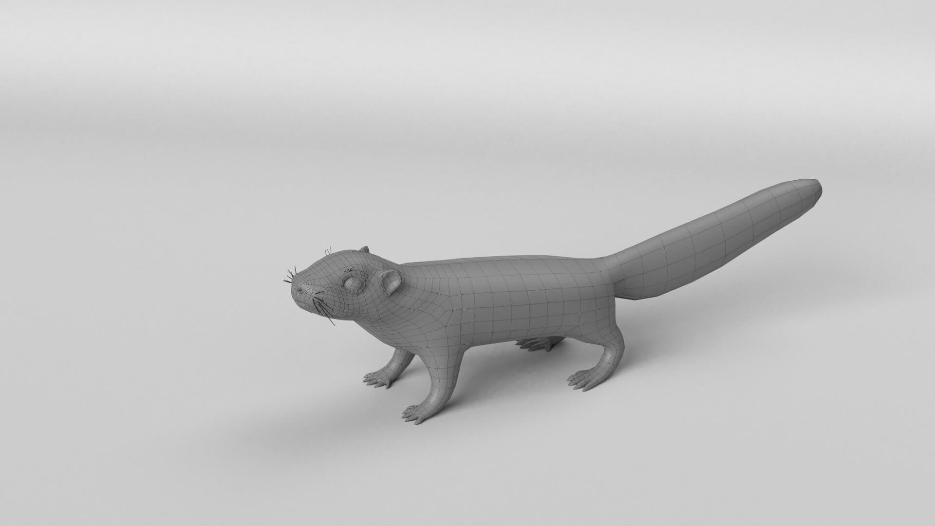 Squirrel - 3D Model by rmilushev