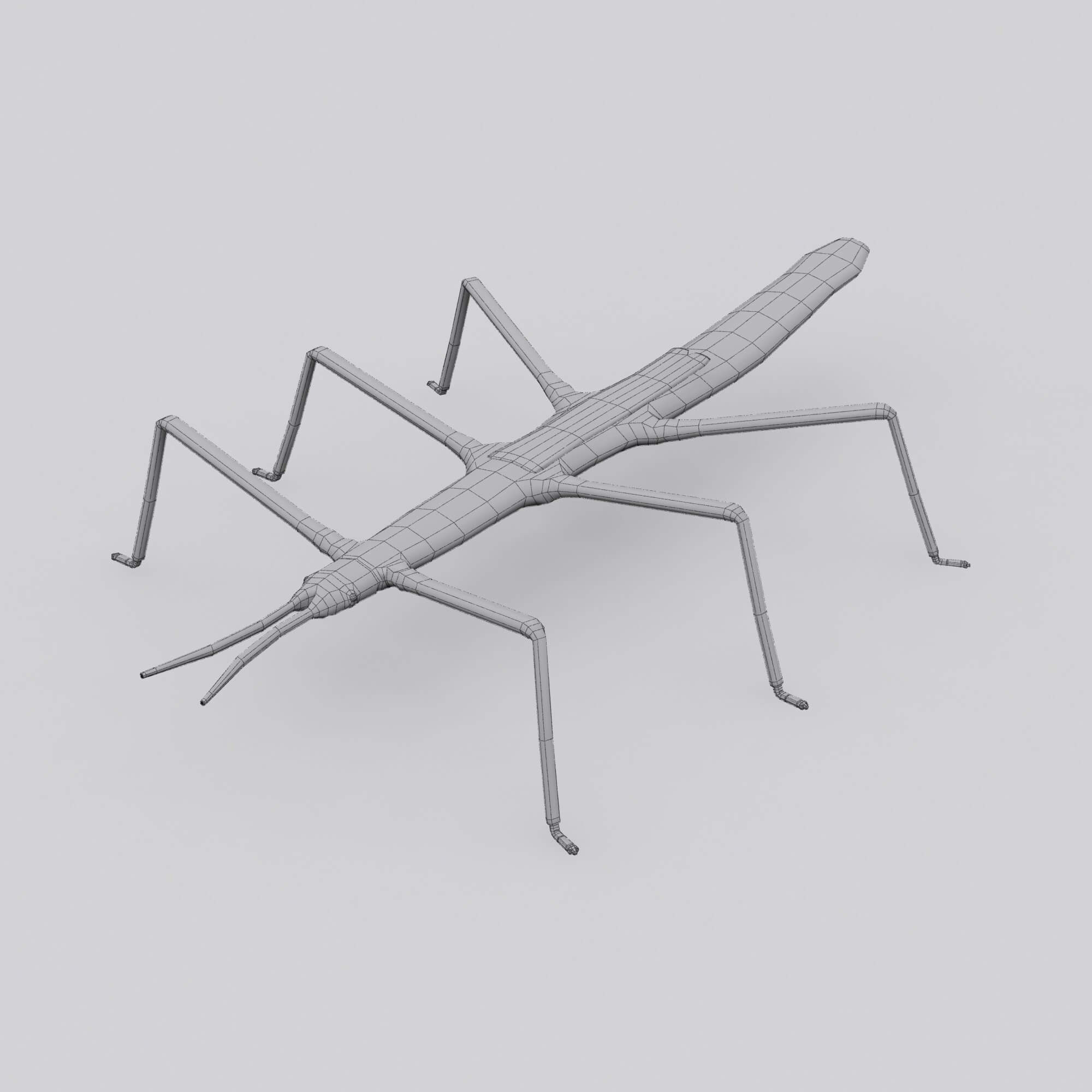 Stick Insect - 3D Model by rmilushev