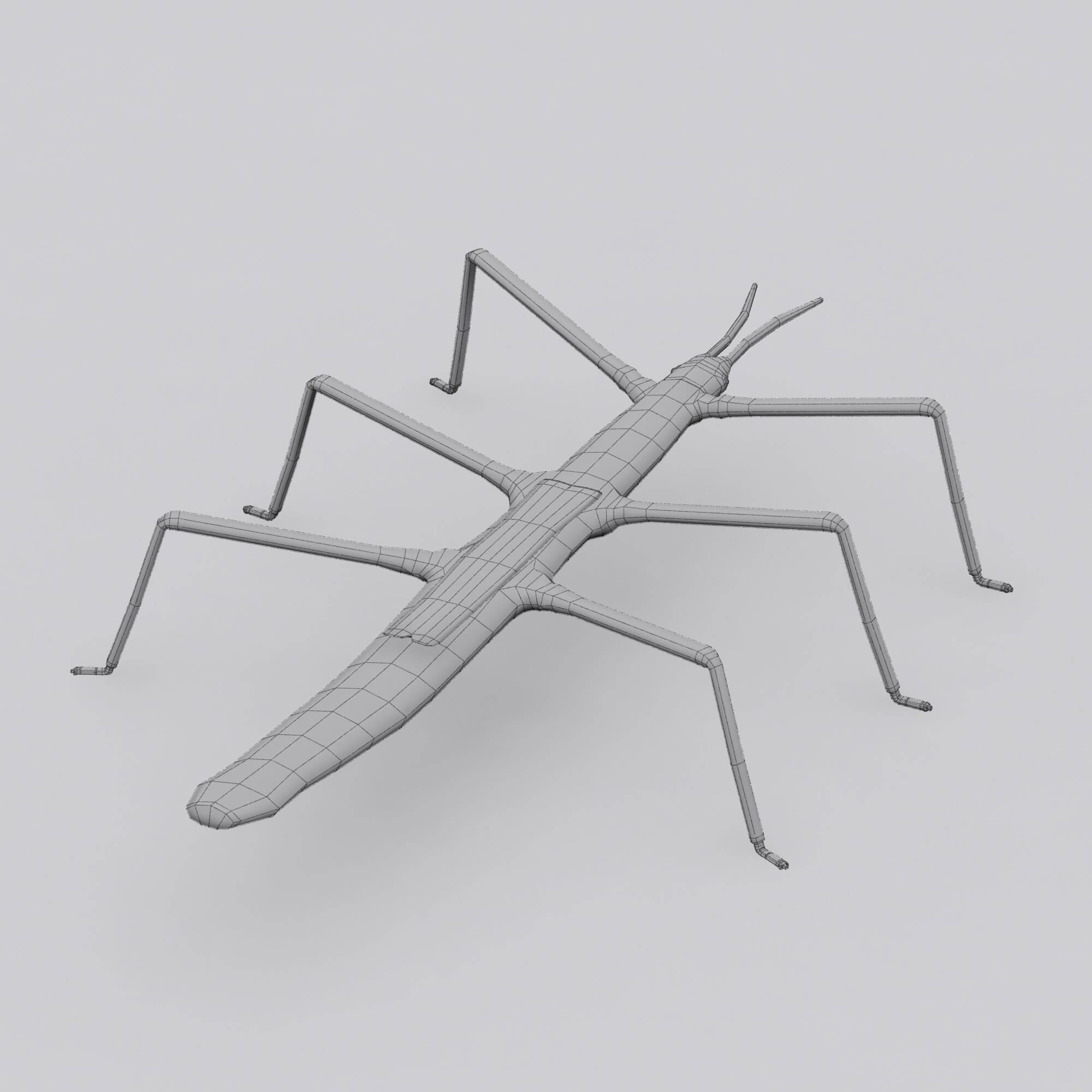 Stick Insect 3d Model By Rmilushev