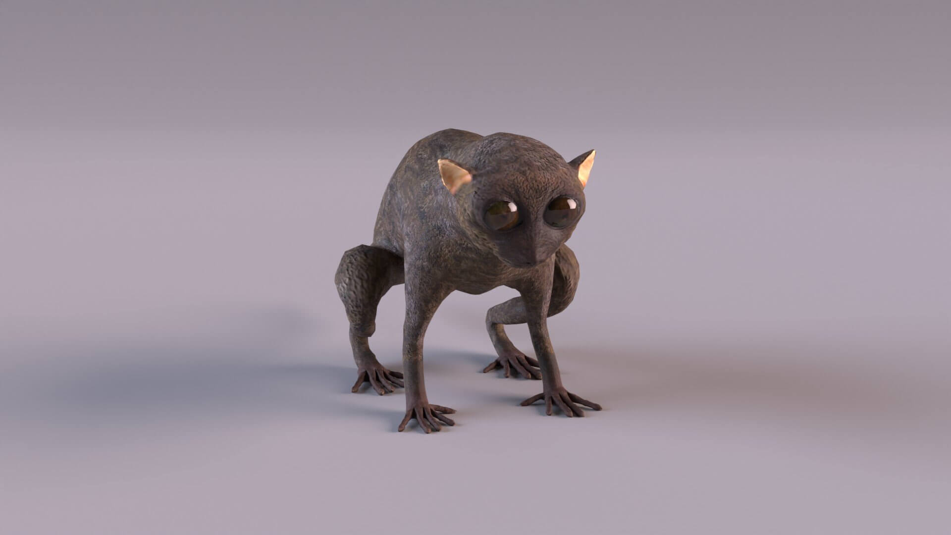 Tarsier - 3D Model by rmilushev