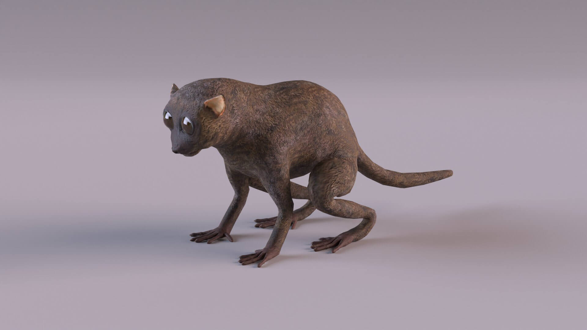 Tarsier - 3D Model by rmilushev