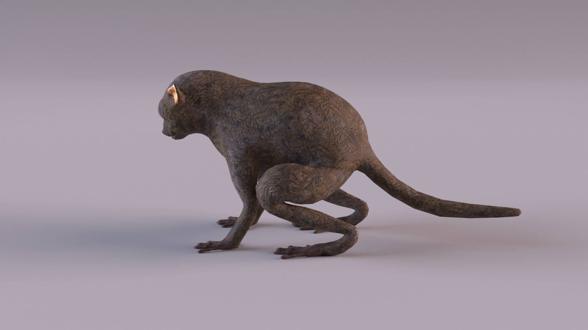 Tarsier - 3D Model by rmilushev