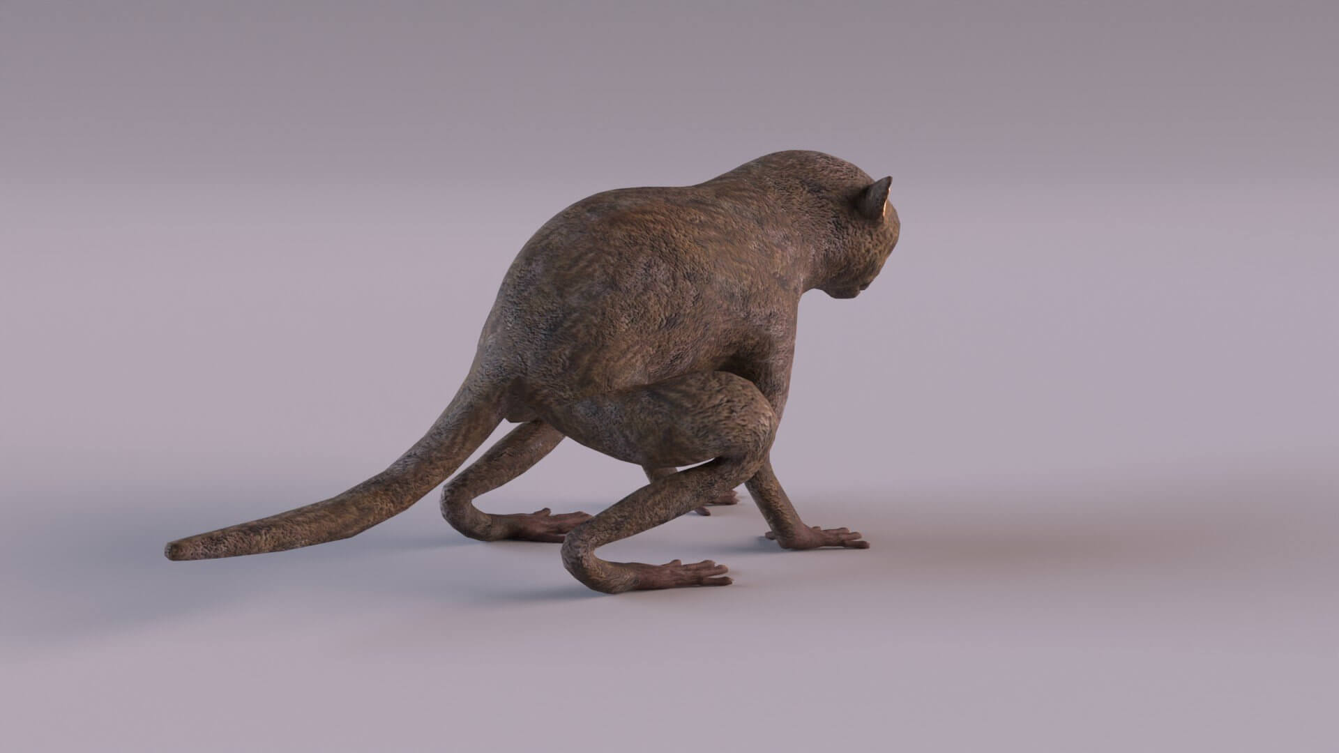Tarsier - 3D Model by rmilushev