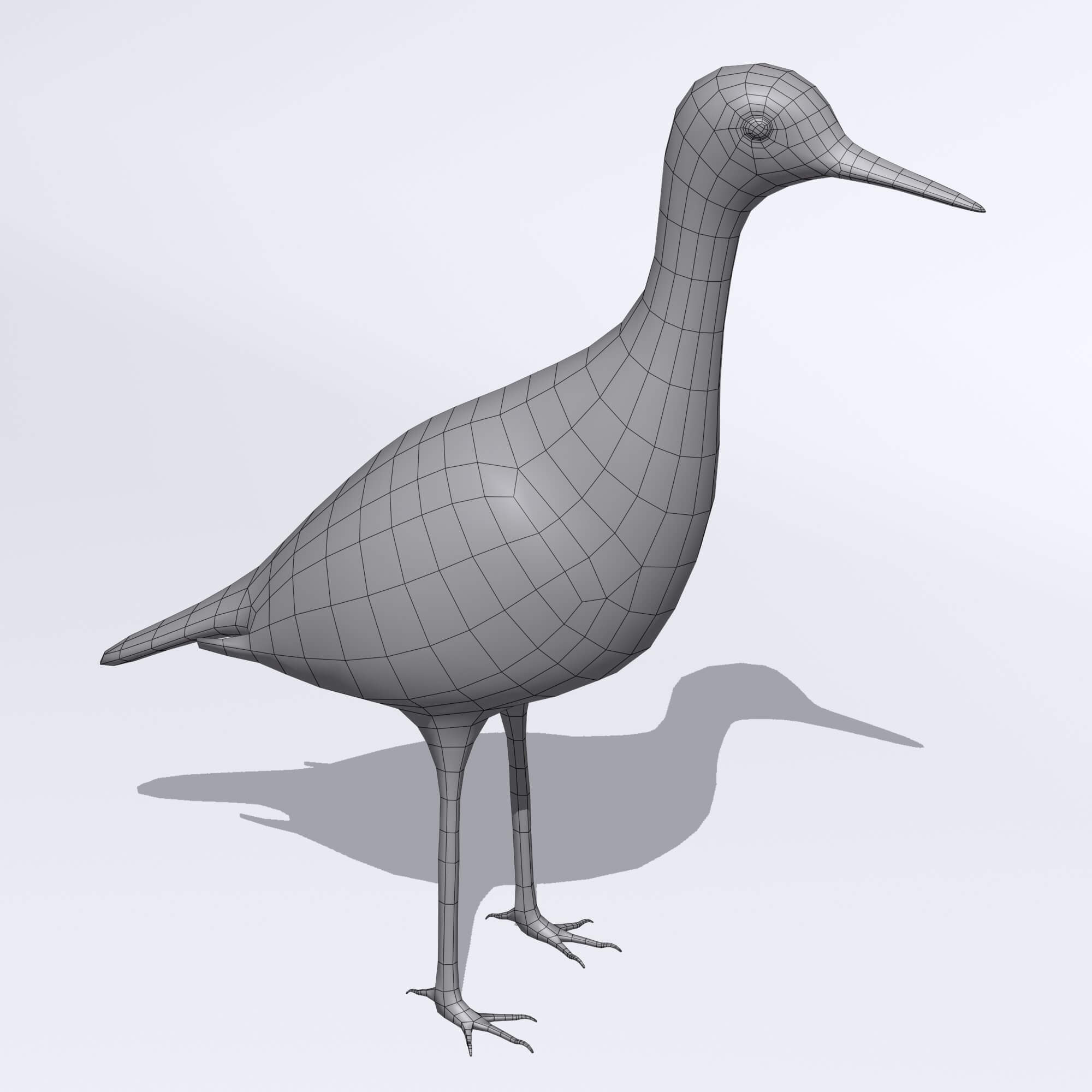 Upland Sandpiper - 3D Model by rmilushev