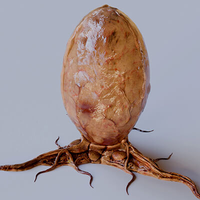 Monster Egg Spawn - 3D Model by Roa3d