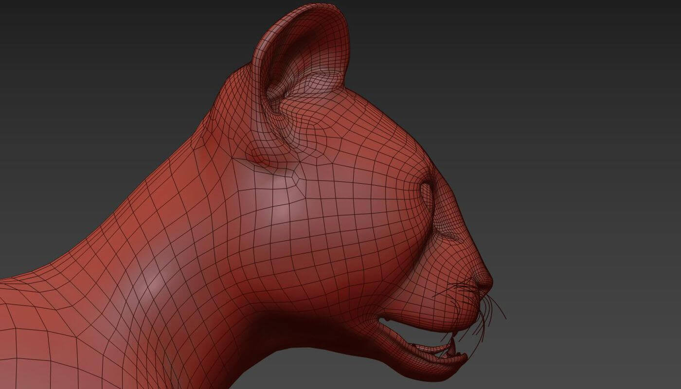 House Cat - 3D Model by RobertModels