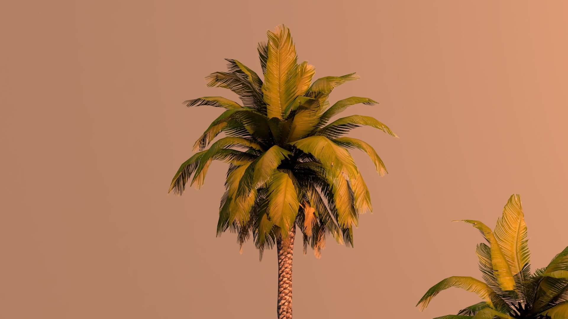 Palm Trees - 3D Model by robin3d