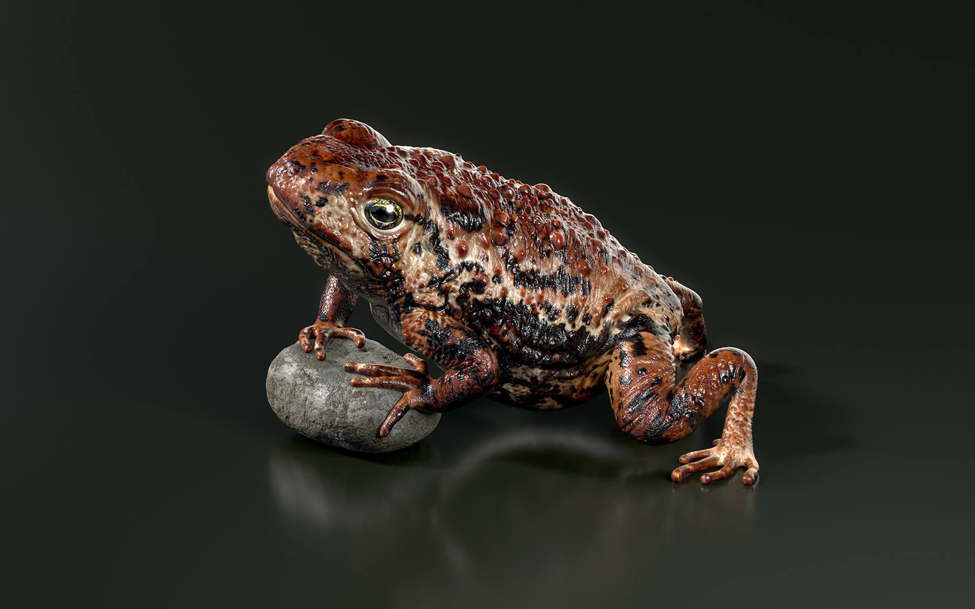 Red Toad 3D Render, Digital Art by RodaNa