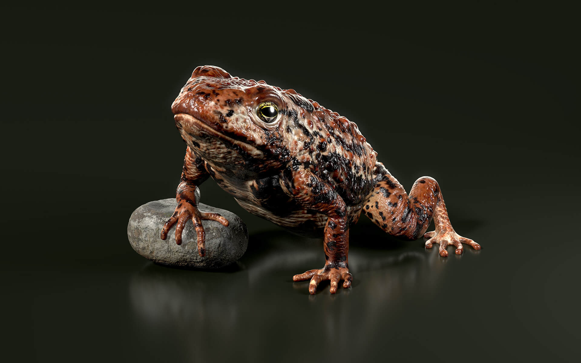 Red Toad 3D Render, Digital Art by RodaNa