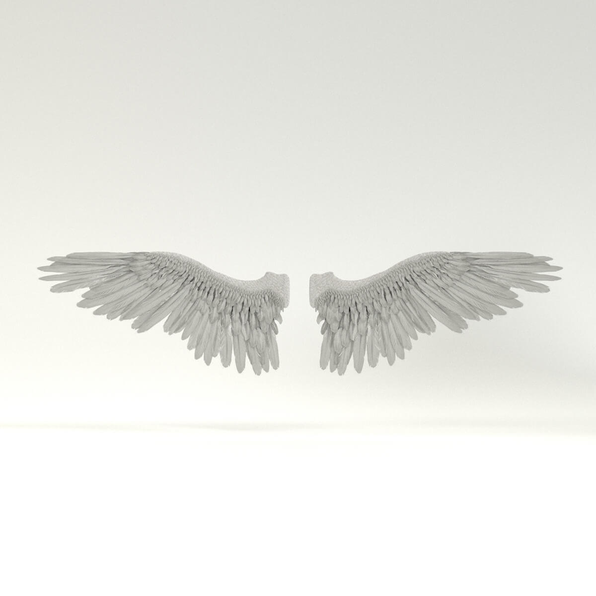 Angel or Bird Wings - 3D Model by rolffimages