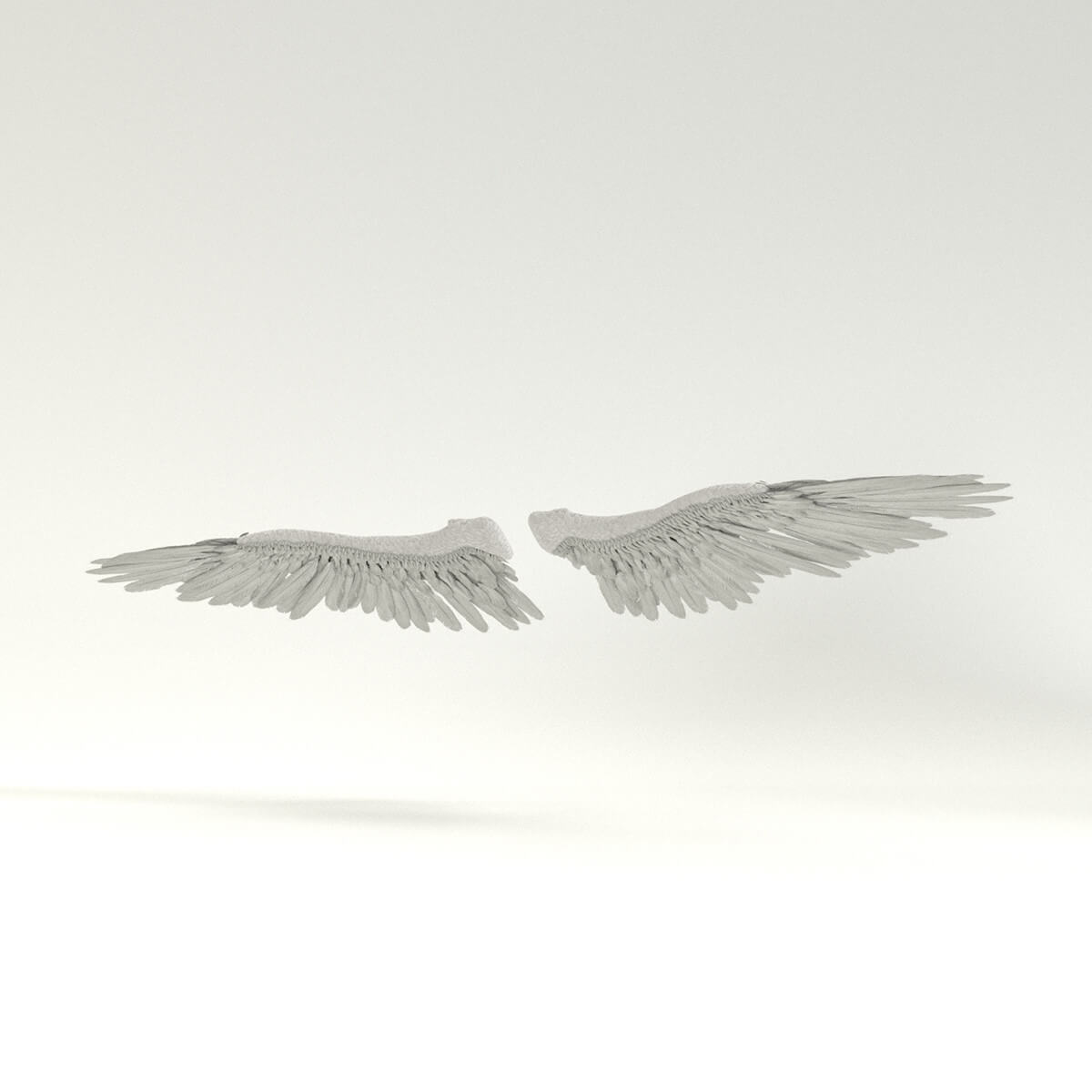 Angel or Bird Wings - 3D Model by rolffimages