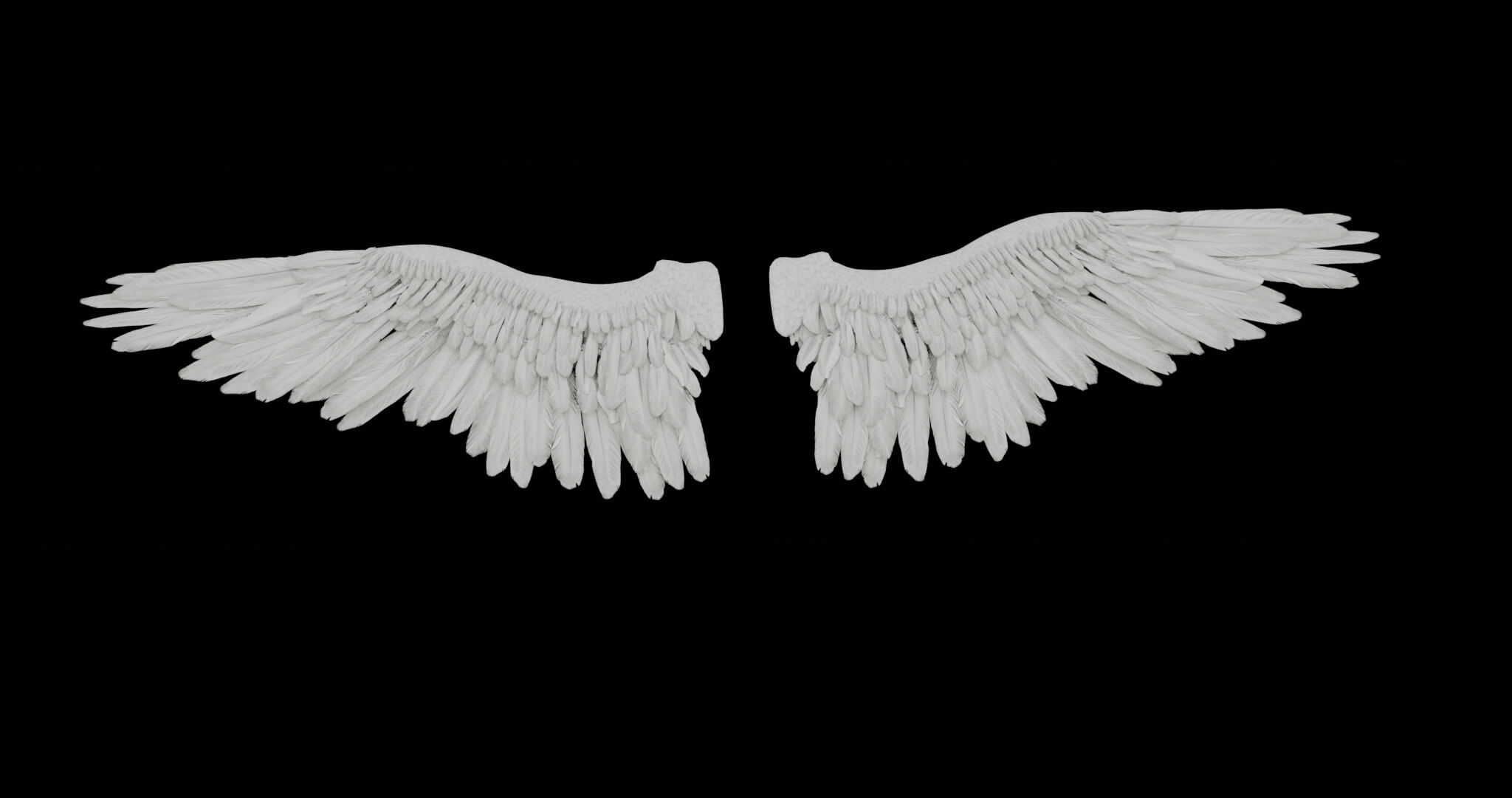Angel or Bird Wings - 3D Model by rolffimages
