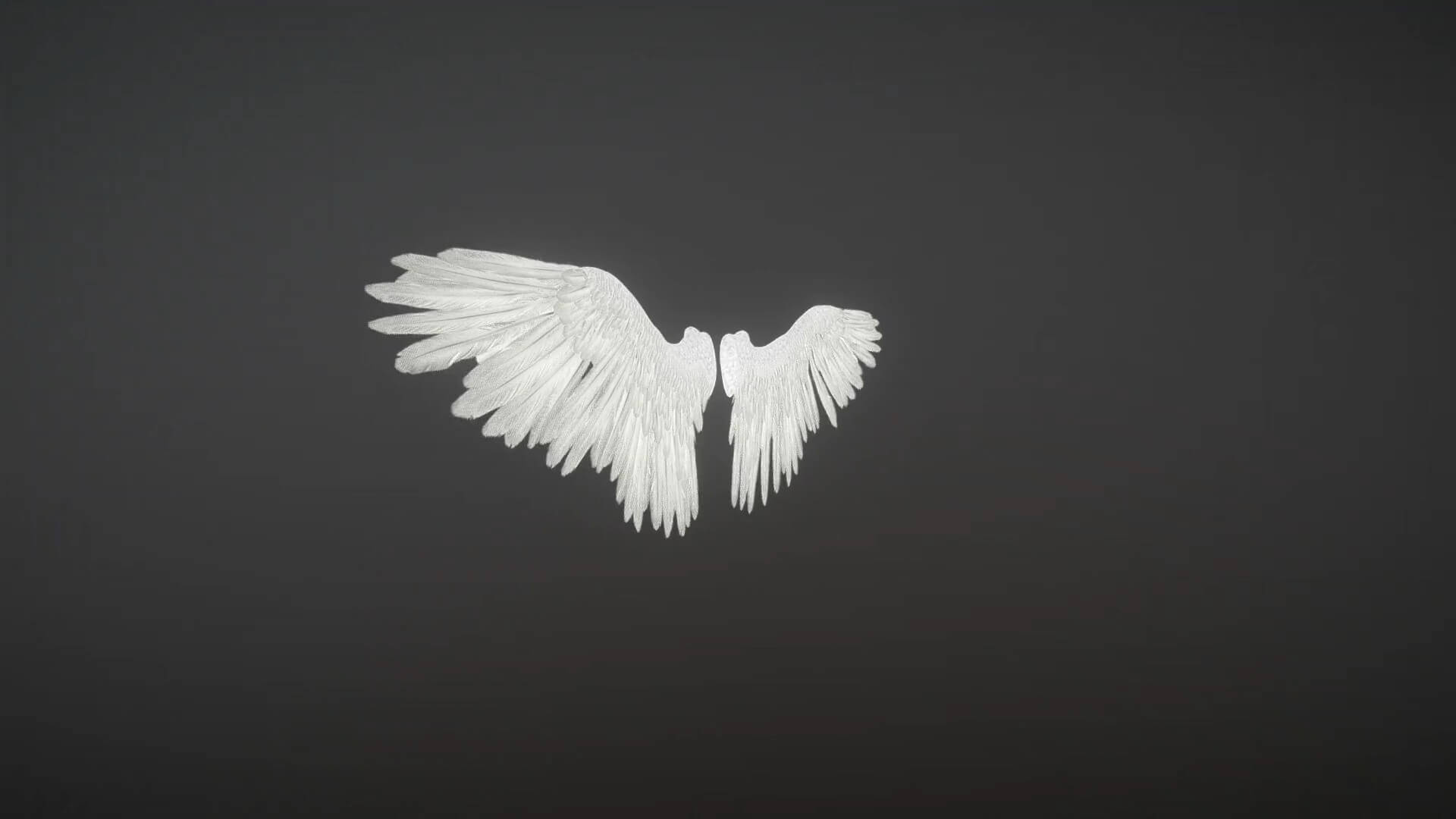 Angel or Bird Wings - 3D Model by rolffimages