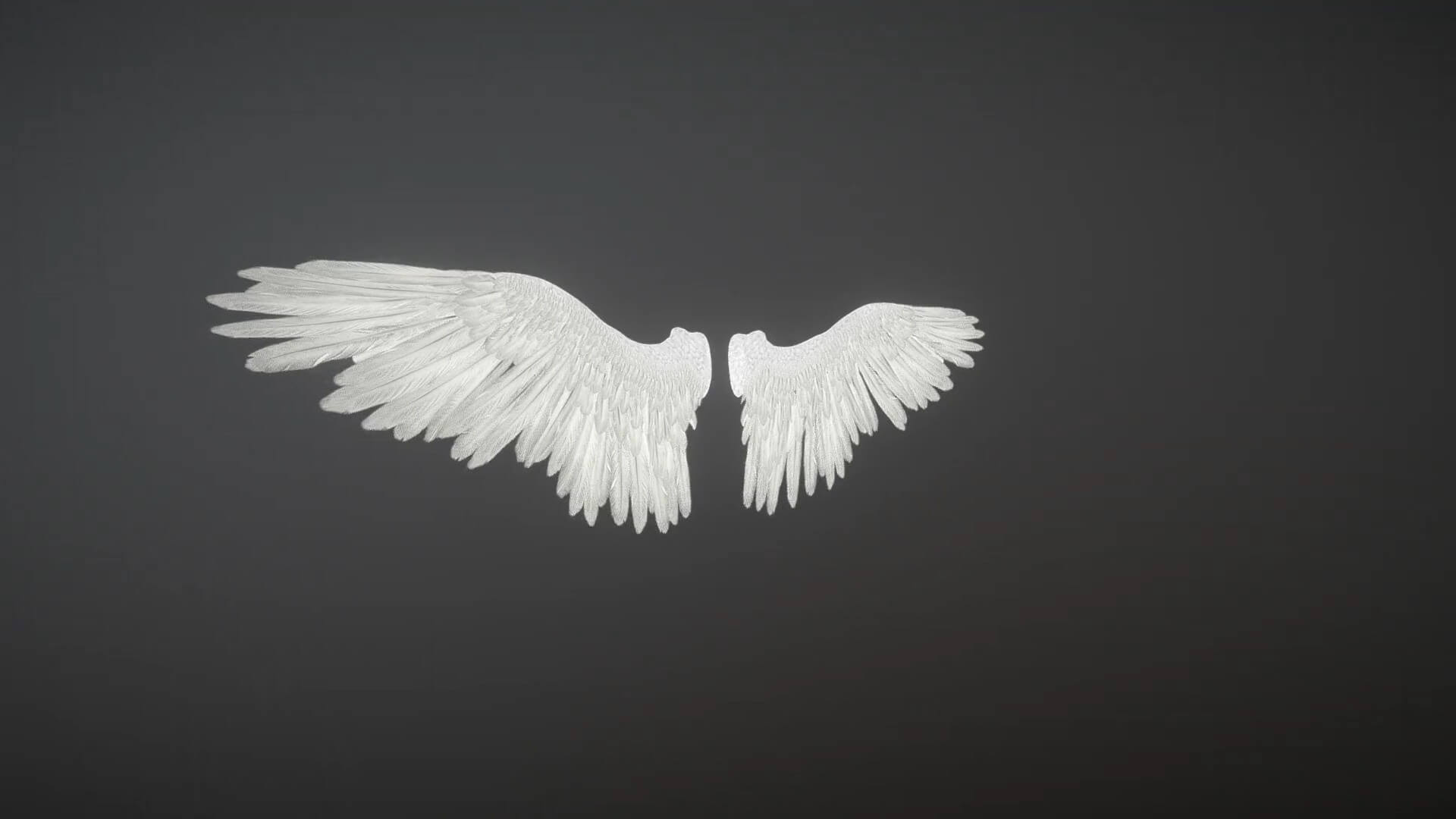 Angel or Bird Wings - 3D Model by rolffimages
