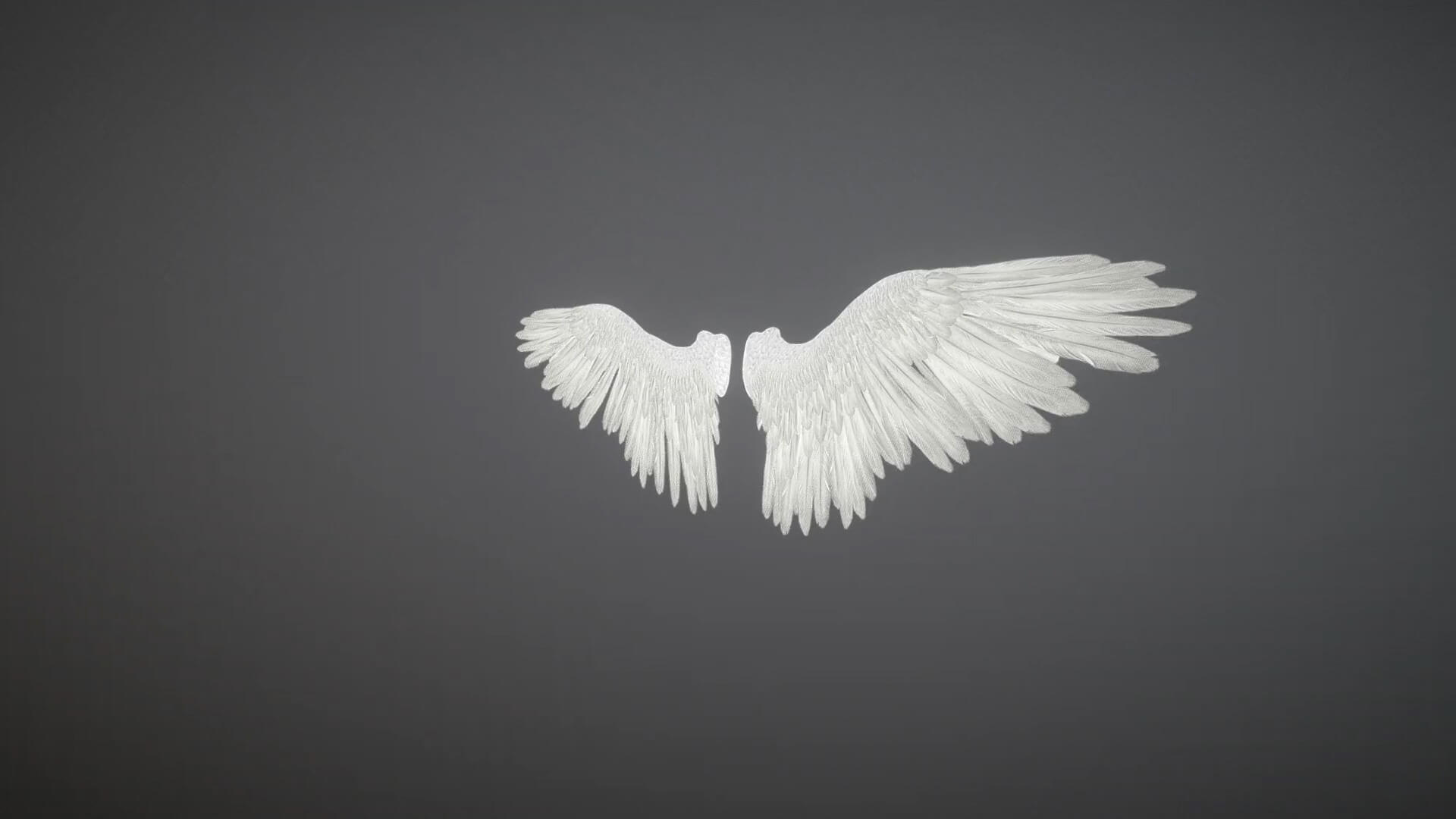 Angel or Bird Wings - 3D Model by rolffimages