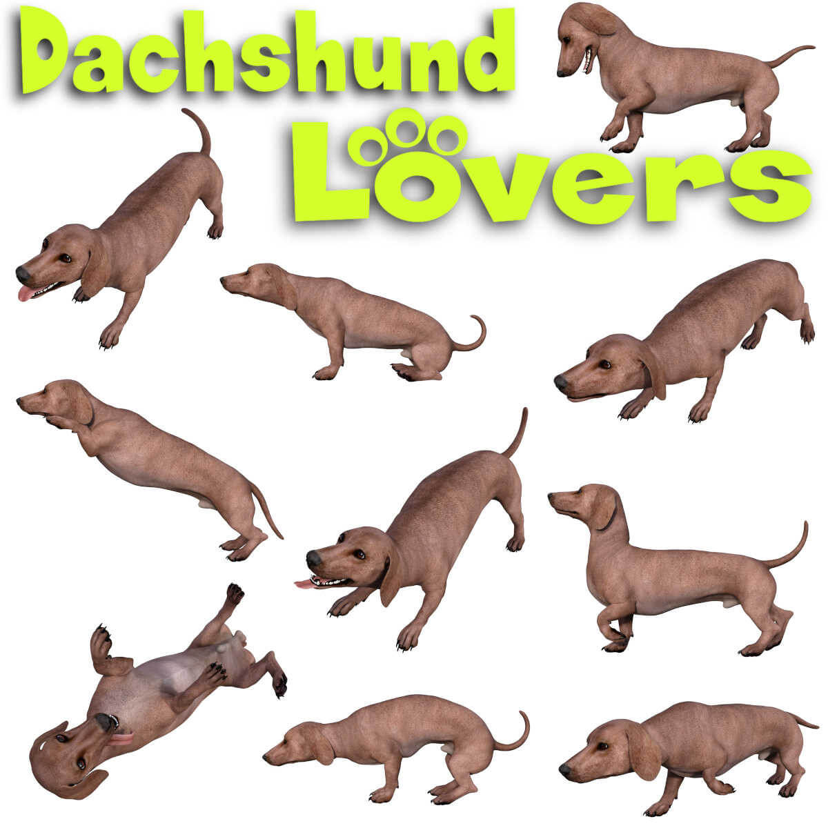 Dachshund Lovers Poses for Dachshund Breed (Daz Dog 8) - Daz Content by ...