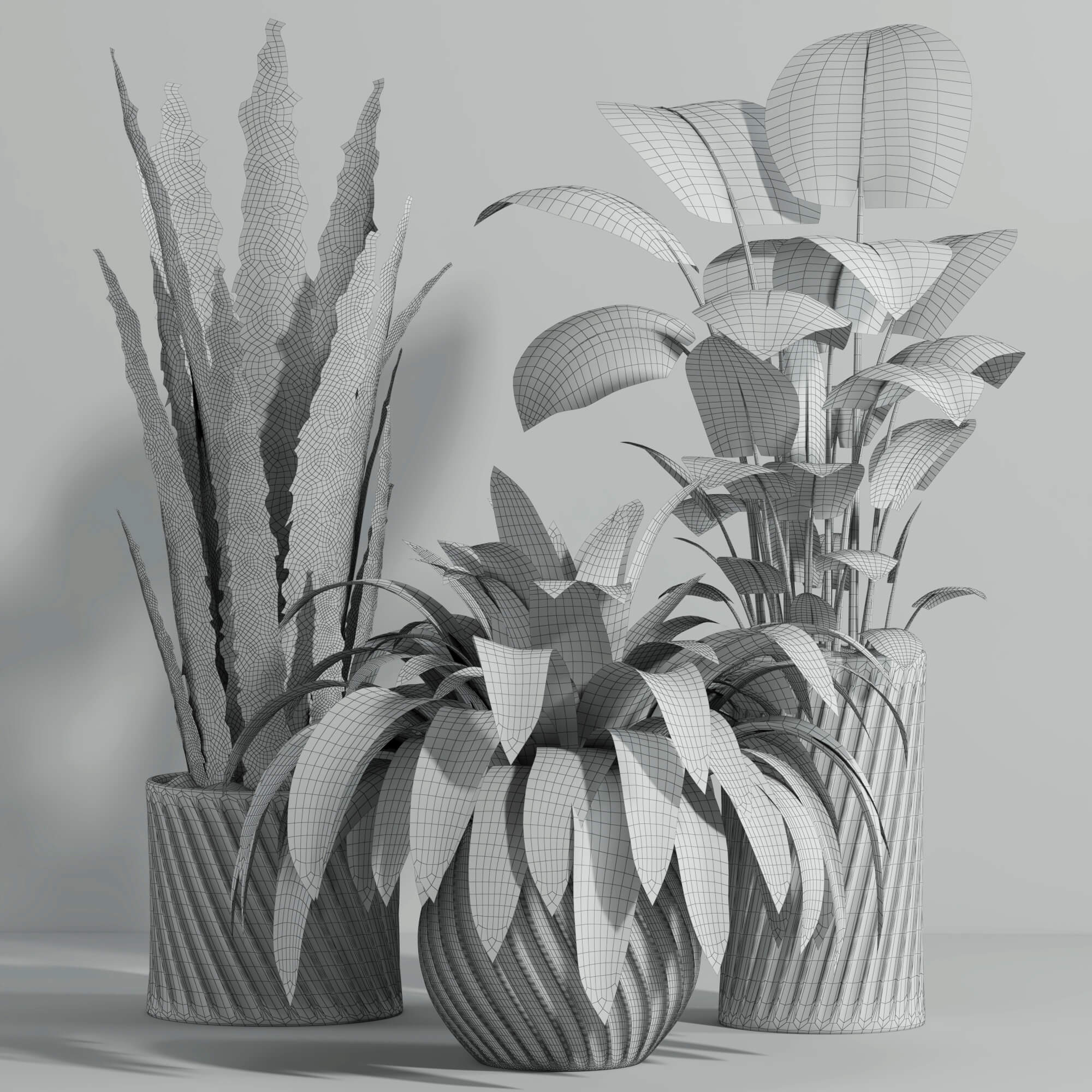 Indoor Plant 02 - 3D Model by Rominart