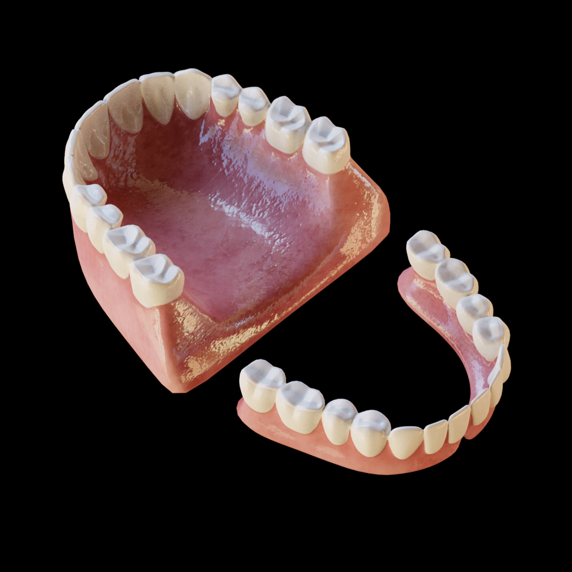 Human Teeth Prosthesis - 3D Model by rossty3d