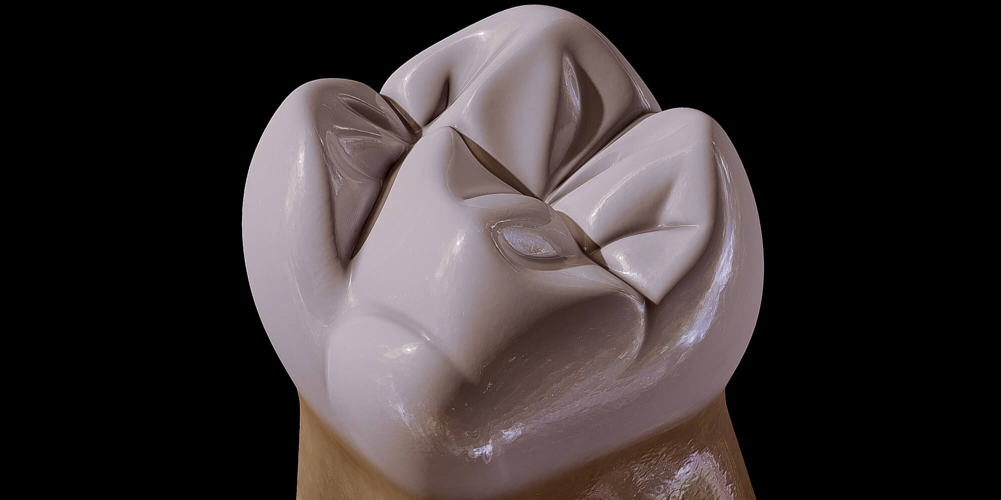 Human Tooth - First Upper Molar 3D Model by rossty3d