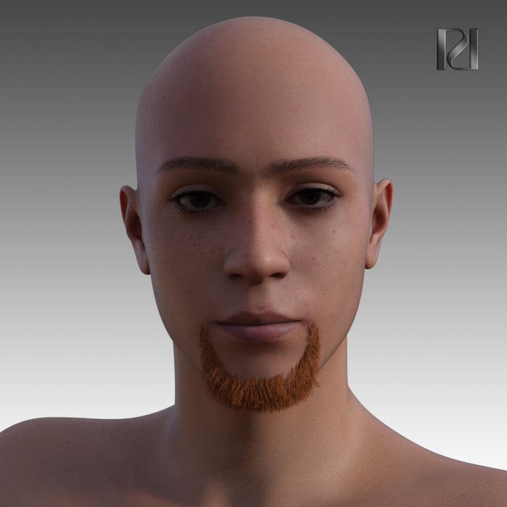 Beards 01 - Beards for G9 Daz Content by RumenD