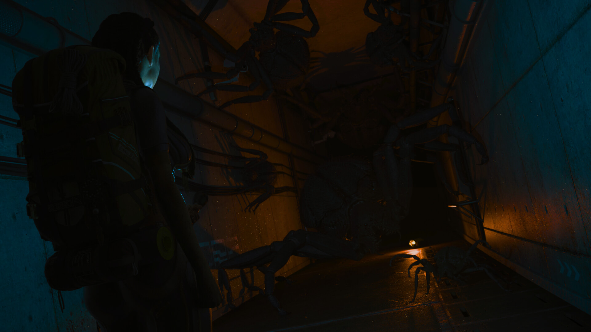 Into the Nest 3D Render, Digital Art by RUNI3D