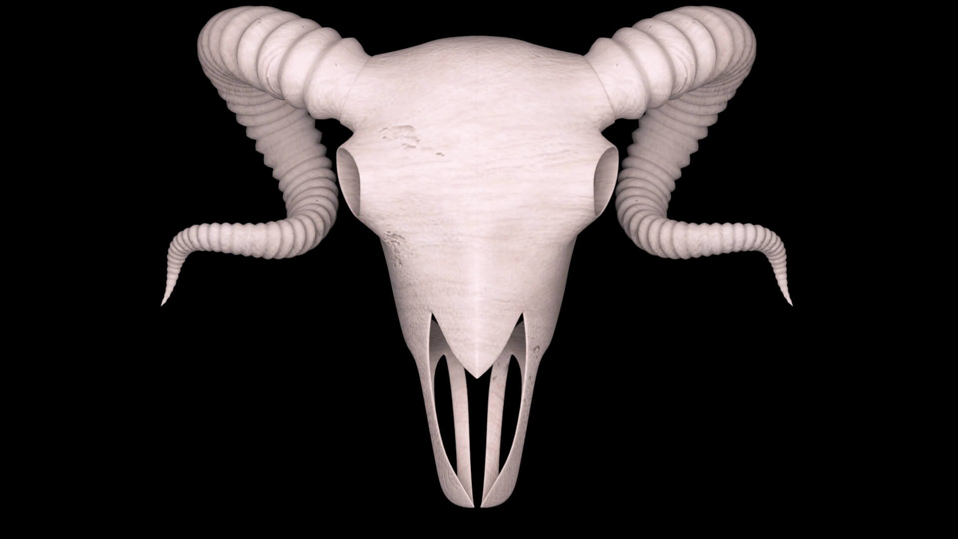 Ram - Sheep Skull 3D Model by S4vvy