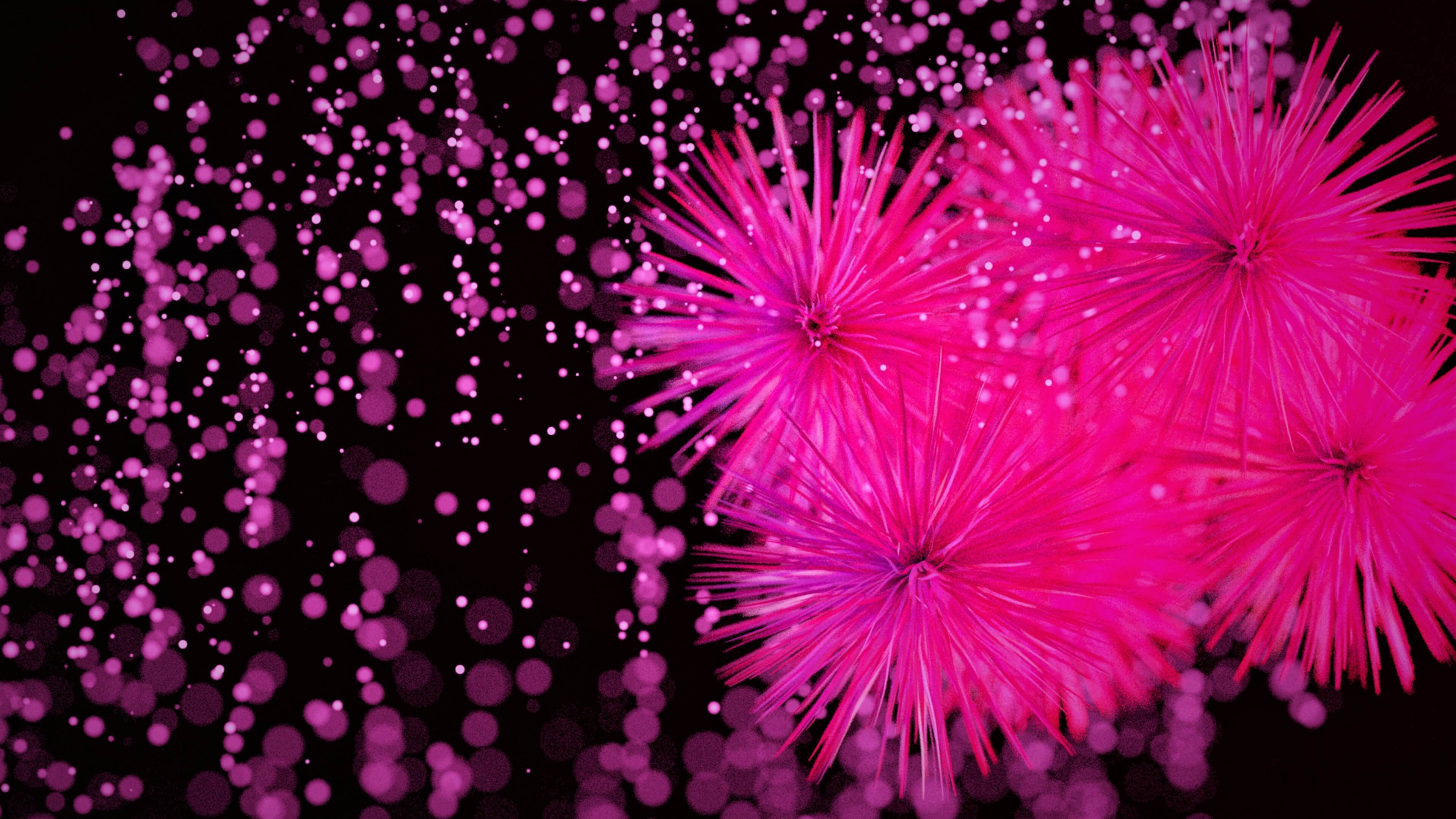 Pink Flower 3D Desktop HD Wallpaper