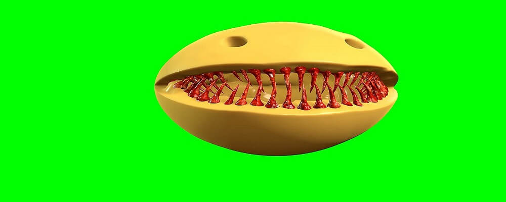 Pacman - 3D Model by sajidkhan2150