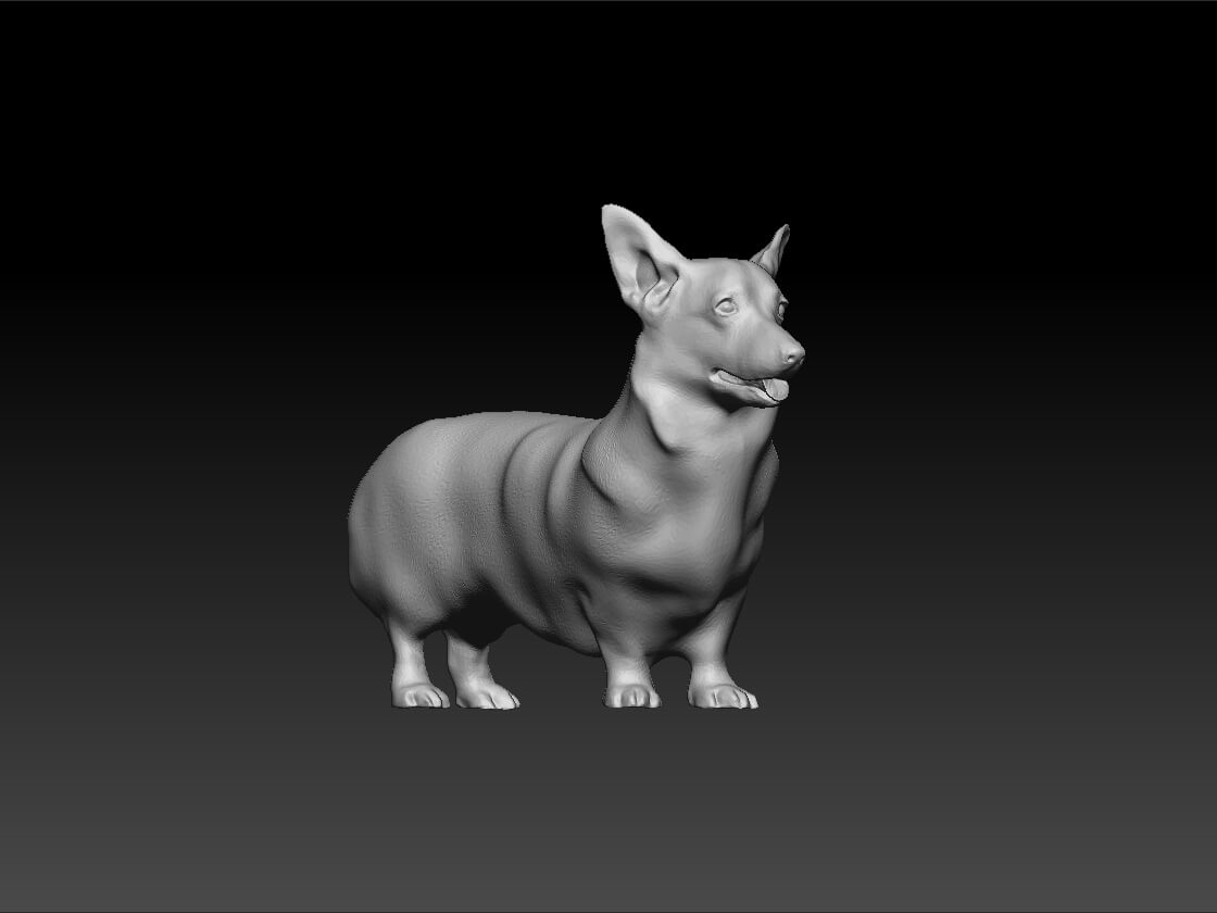 Corgi Dog 3D Model for 3D Print by sajjadtiger