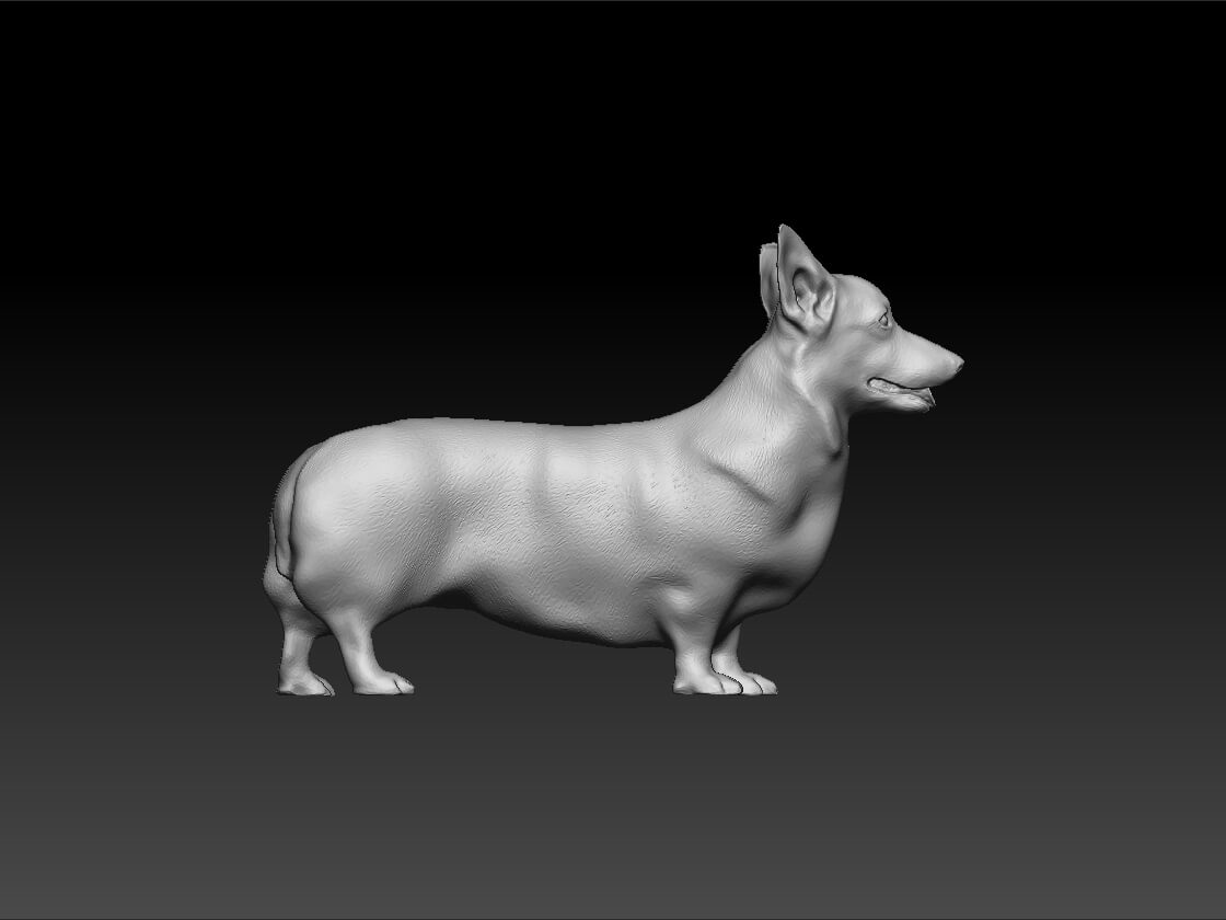Corgi Dog 3D Model for 3D Print by sajjadtiger