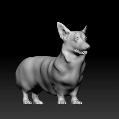 Corgi Dog 3D Model for 3D Print by sajjadtiger