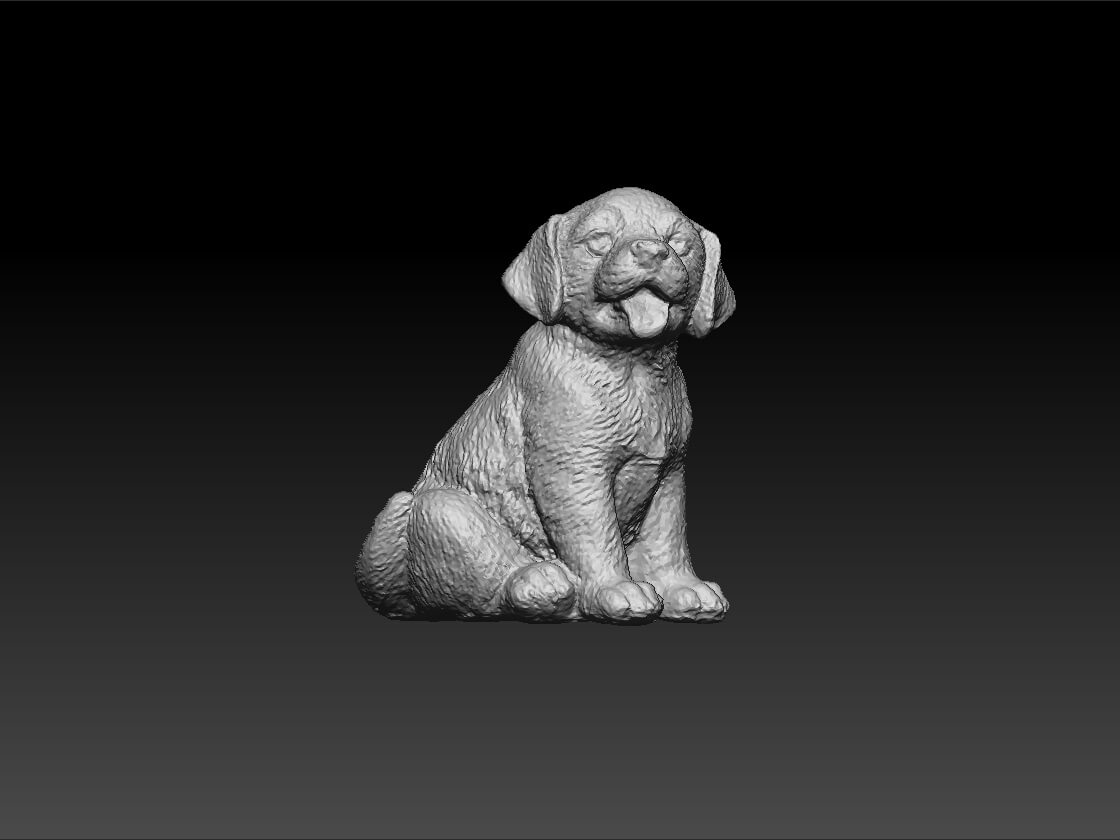 Dog - Decorative Dog - Cute Dog 3D Print Model by sajjadtiger