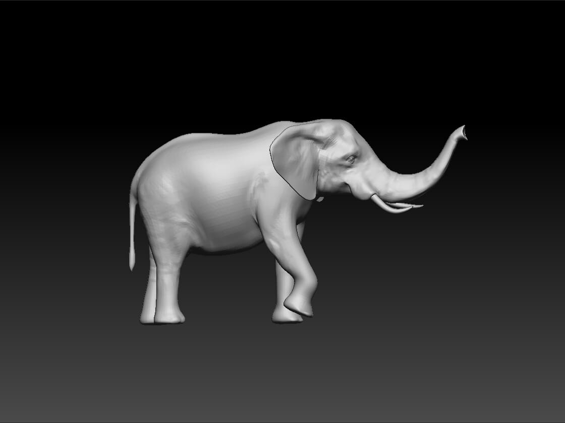 Elephant Realistic - 3D Model by sajjadtiger