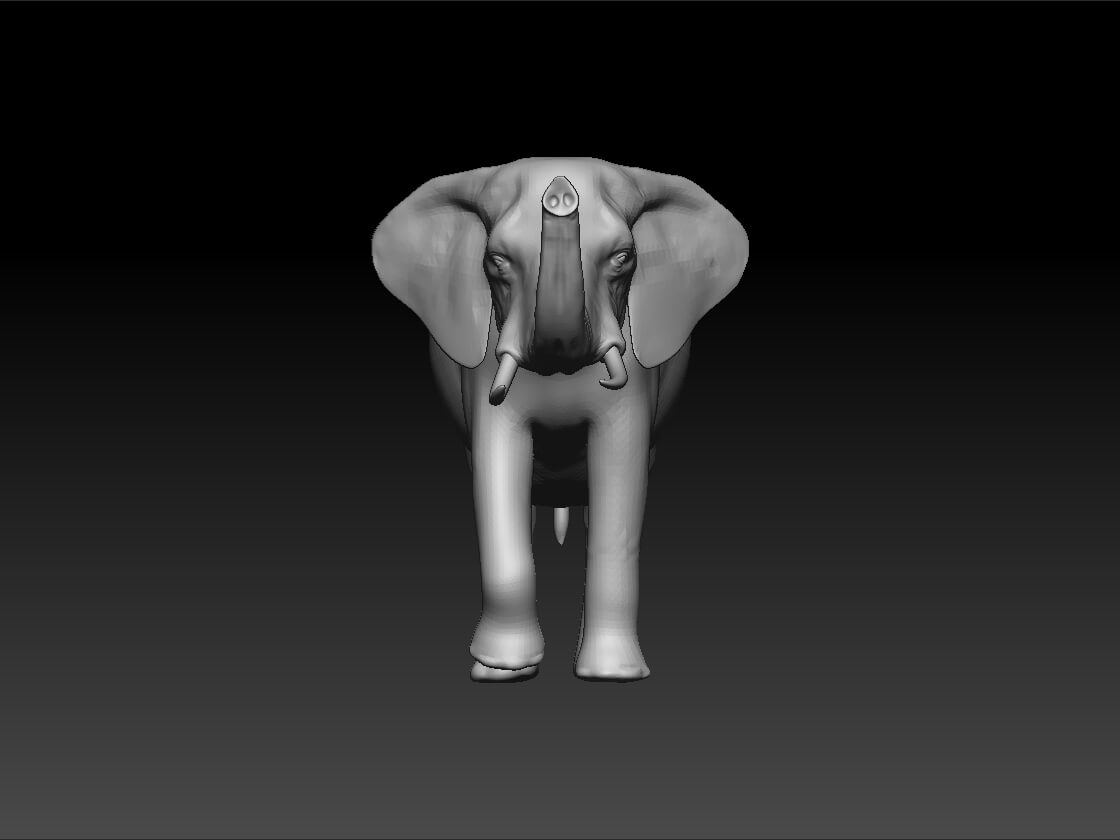 Elephant Realistic - 3D Model by sajjadtiger