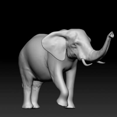 sajjadtiger | Print Ready 3D Models | Elephants