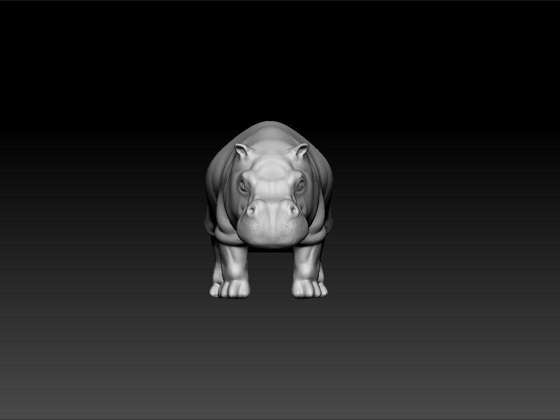 Hippo - Hippopotamus 3D Model for 3D Print by sajjadtiger