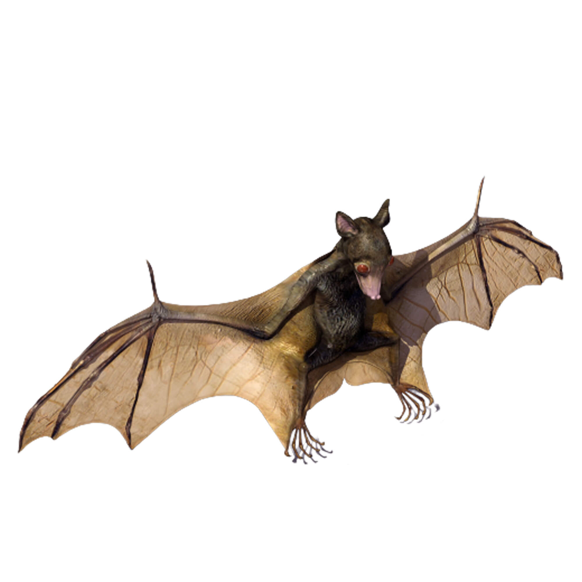 Bat (Night) 1 - 3D Model by sali111