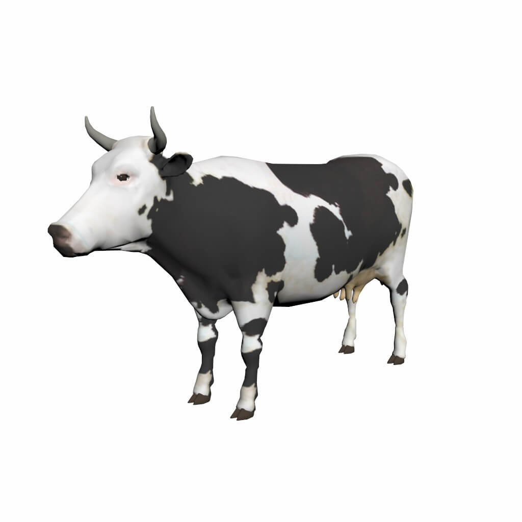 Cow (Animal) - 3D Model by sali111