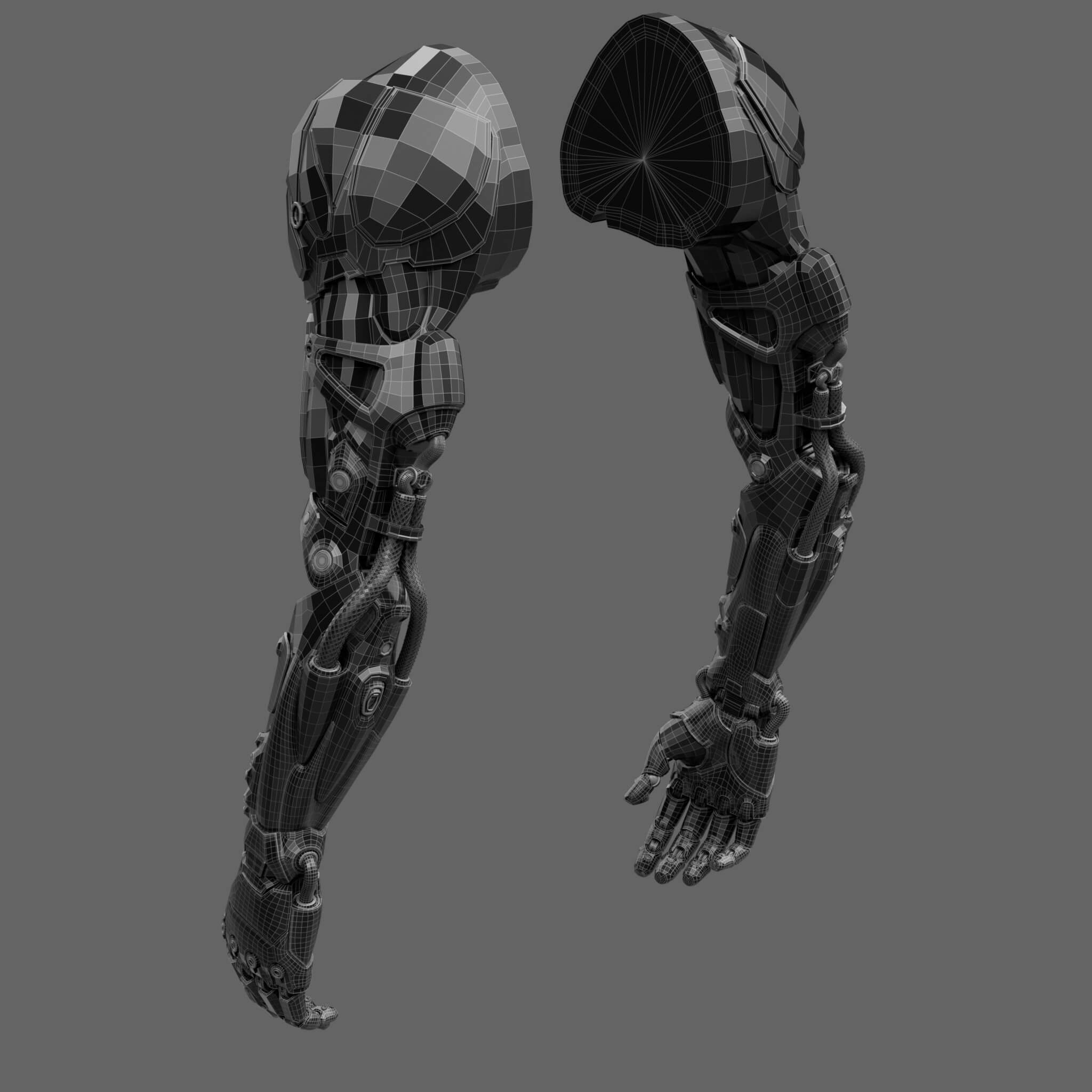 Cyberpunk Arm Augment - 3D Model by samsimsom