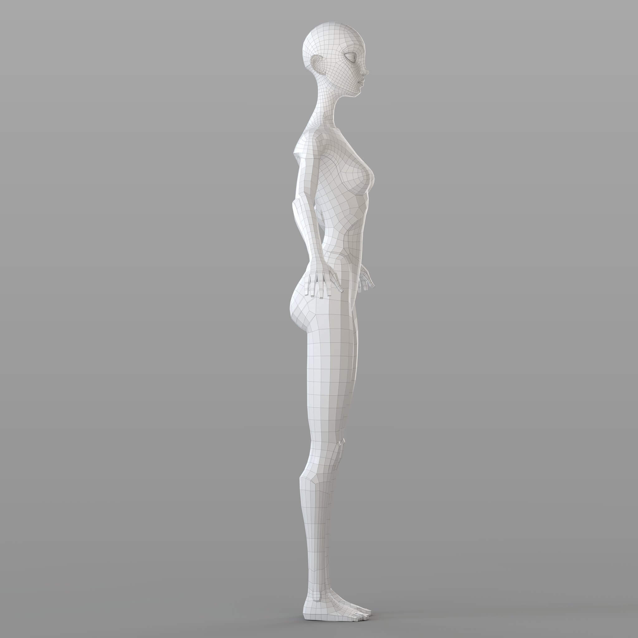 Stylised Female Base - 3D Model by samsimsom