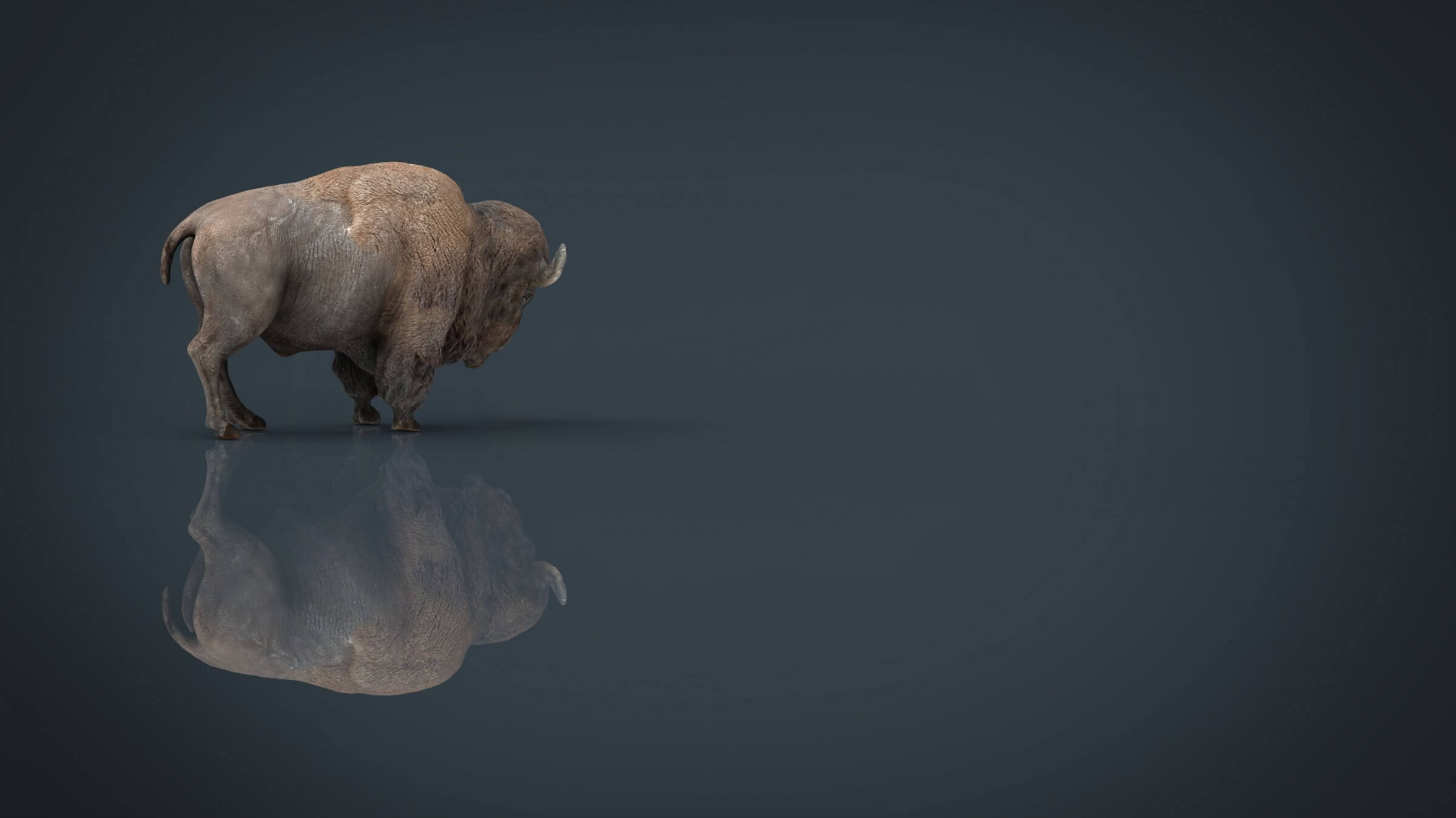 American Bison - 3D Model by sanchiesp