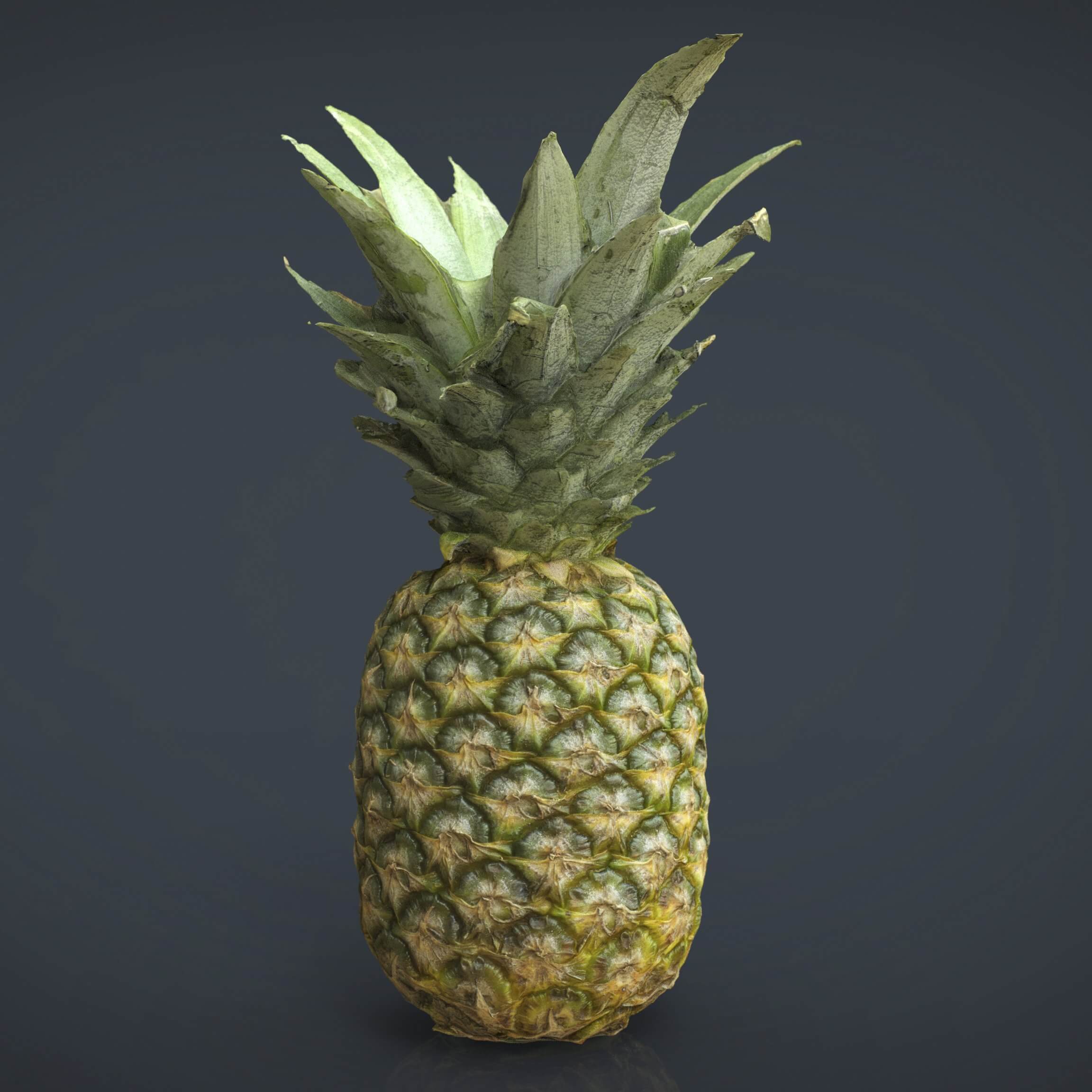 Ananas - 3D Model by sanchiesp